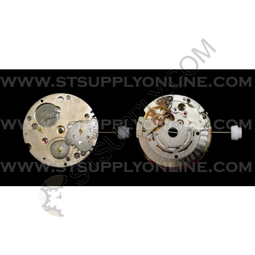 Chinese Movement DG3836 ST Supply